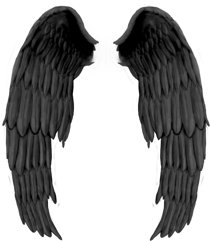 Download Eagle Drawing Clipart PNG Free | FreePngClipart