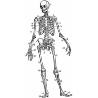 Download Clipart Tow Truck Hd Photo Clipart PNG Free | FreePngClipart