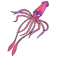Download Squid Category Png, Clipart and Icons | FreePngClipart